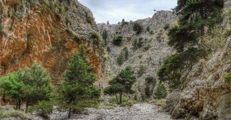 From Chania/Almyrida : Imbros Gorge Hike - Who Should Consider This Tour?