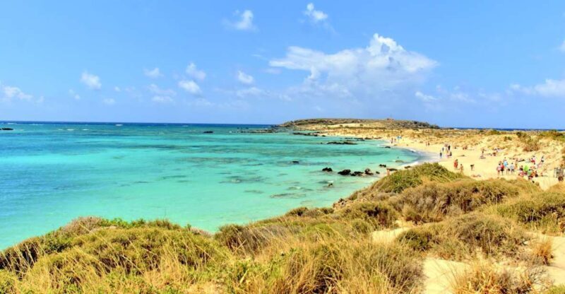 From Chania Area: Day Trip to Elafonisi Island by Bus - Who Is This Tour Best For?