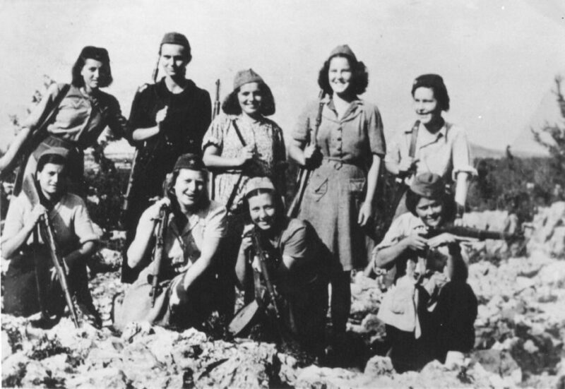 From Chania: Crete World War II History Tour - Who Will Love This Tour?