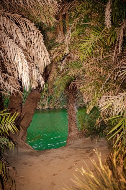 From Chania: Day Trip to Preveli Beach & Damnoni Beach - Authentic Experiences and Honest Reviews