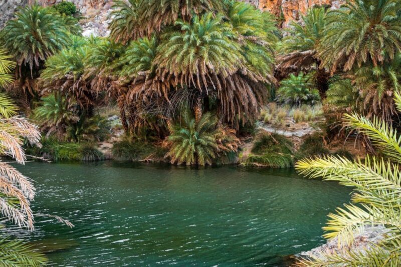 From Chania: Day Trip to Preveli Beach & Damnoni Beach - FAQ