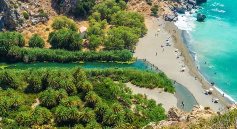 From Chania: Day Trip to Preveli Palm Beach - Who Should Consider This Tour?