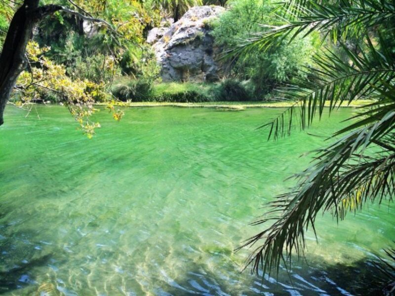 From Chania: Day Trip to Preveli Palm Beach - Final Thoughts