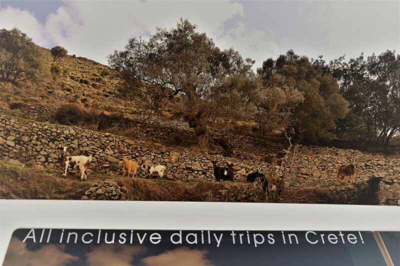 From Chania: Elafonisi & Falasarna Private Tour with snacks - What Travelers Say: Highlights & Considerations