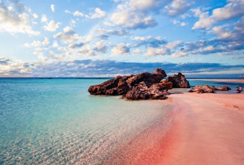 From Chania: Elafonisi Island Day Tour by Bus - The Sum Up