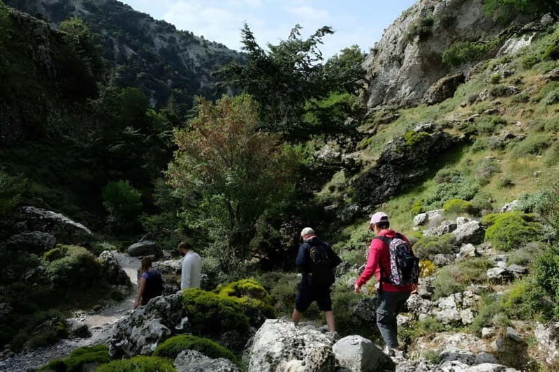 From Chania: Imbros Gorge Hike&Authentic Culinary Experience - Scenic Drive and Views