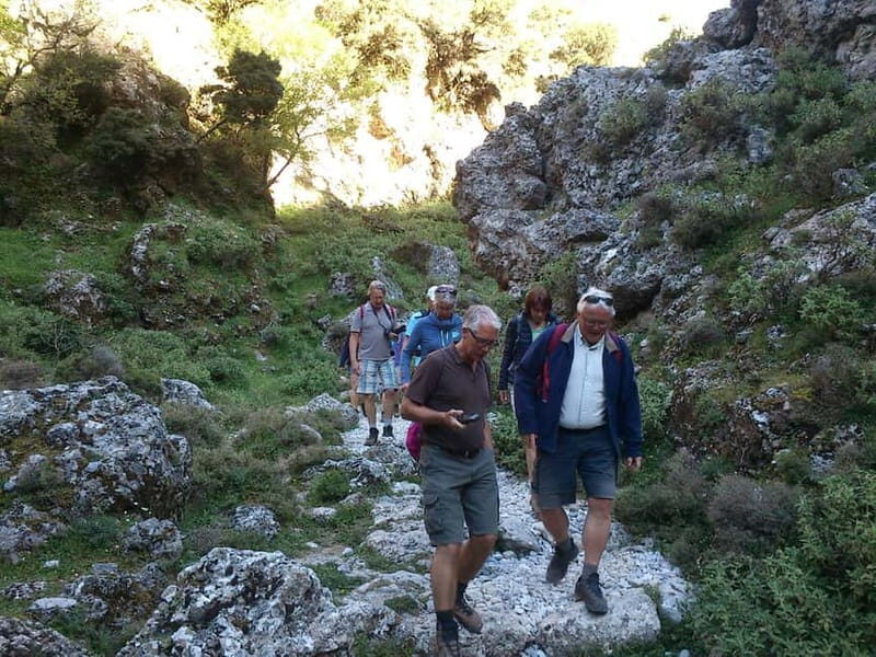From Chania: Imbros Gorge Hike&Authentic Culinary Experience - Cost and Value