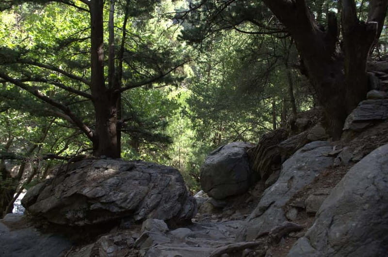From Chania/Kalyves: Full-Day Samaria Gorge Hiking Day Trip - Who Will Love This Experience?