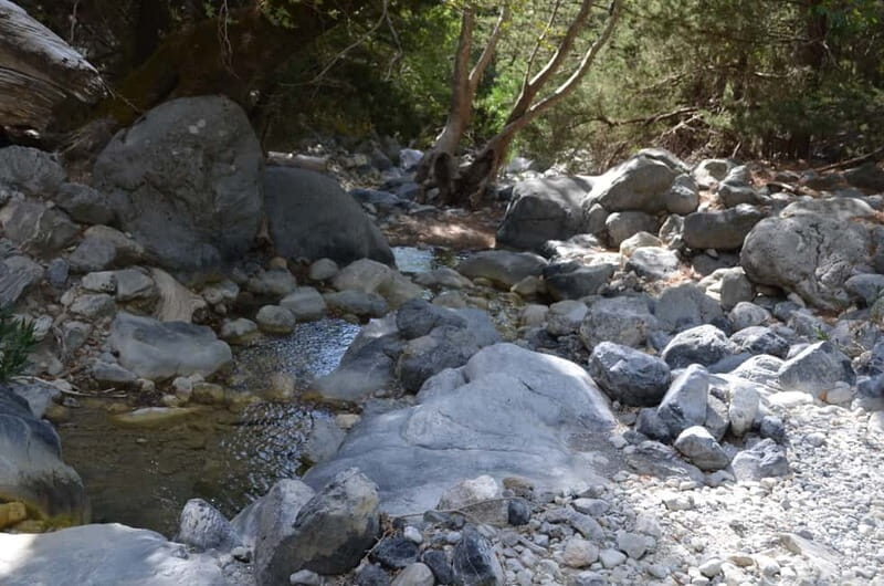 From Chania/Kalyves: Full-Day Samaria Gorge Hiking Day Trip - Final Thoughts