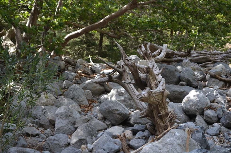 From Chania/Kalyves: Full-Day Samaria Gorge Hiking Day Trip - FAQ