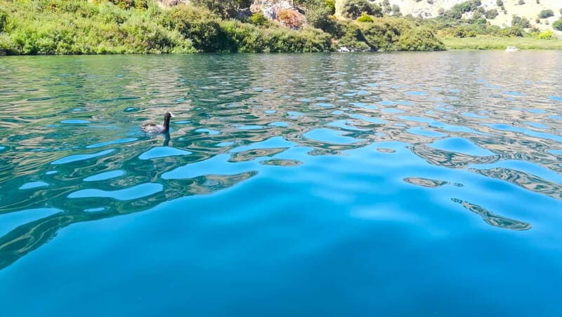 From Chania: Lake Kournas & Argiroupoli Springs Guided Tour - Key Points