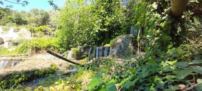 From Chania: Lake Kournas & Argiroupoli Springs Guided Tour - FAQ