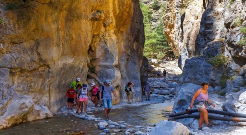 From Chania: Samariá Gorge Guided Hike - Wildlife and Flora You’ll Encounter