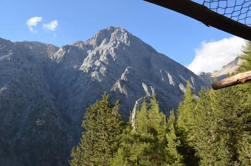 From Chania: Samaria Gorge Hike with Local Mountain Guide - Who Will Love This Experience?