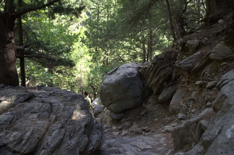 From Chania: Samaria Gorge Hike with Local Mountain Guide - FAQs