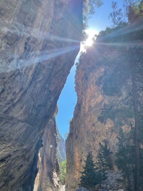 From Chania: Samaria Gorge Hiking tour - The Value of This Tour
