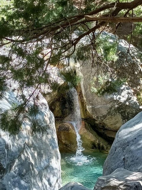 From Chania: Samaria Gorge with Professional Hiking Guide - Returning via Ferry and Bus