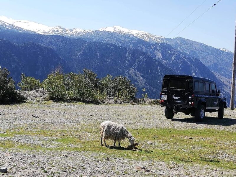 From Chania: White Mountains Land Rover Safari - What the Tour Offers: A Deep Dive into Crete’s Mountain Life