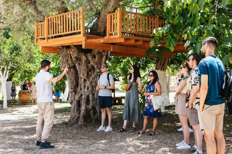 From Chania: Wine and Olive Oil Tasting Tour with Snacks - An In-Depth Look at the Tour Experience