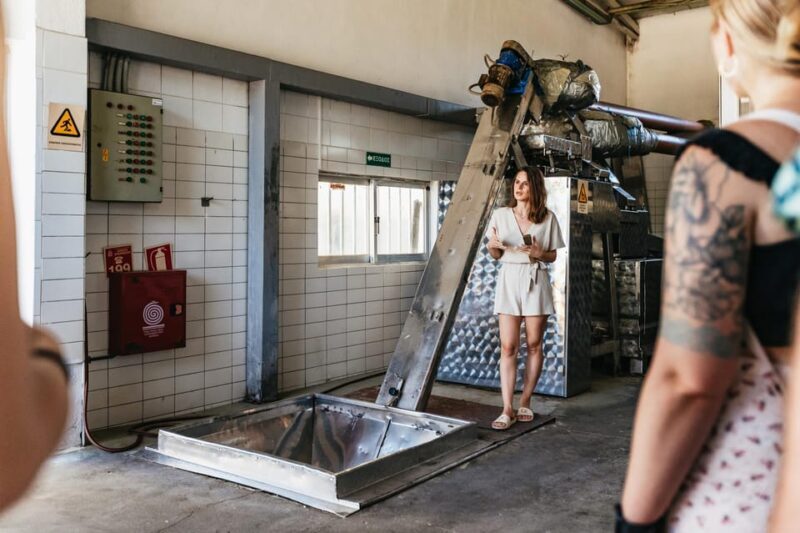 From Chania: Wine and Olive Oil Tasting Tour with Snacks - Final Summary