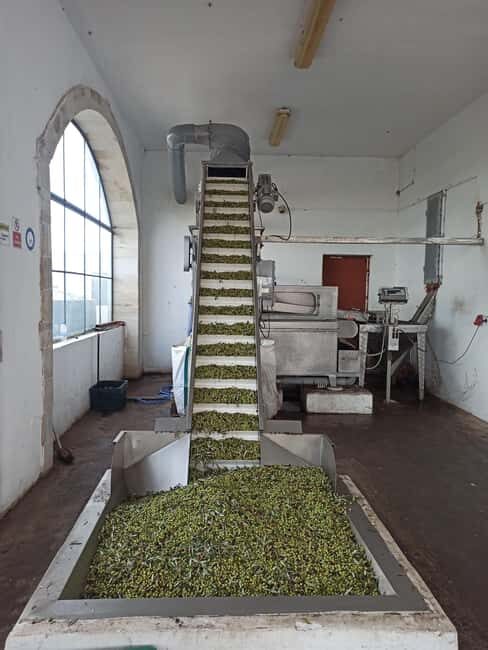 From Chania: Wine, Honey & Olive Oil Private Tour - Key Points
