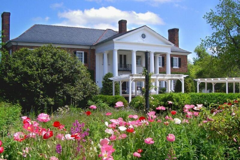 From Charleston: Boone Hall Plantation Entry with Transfers - The Sum Up: Is It Worth It?