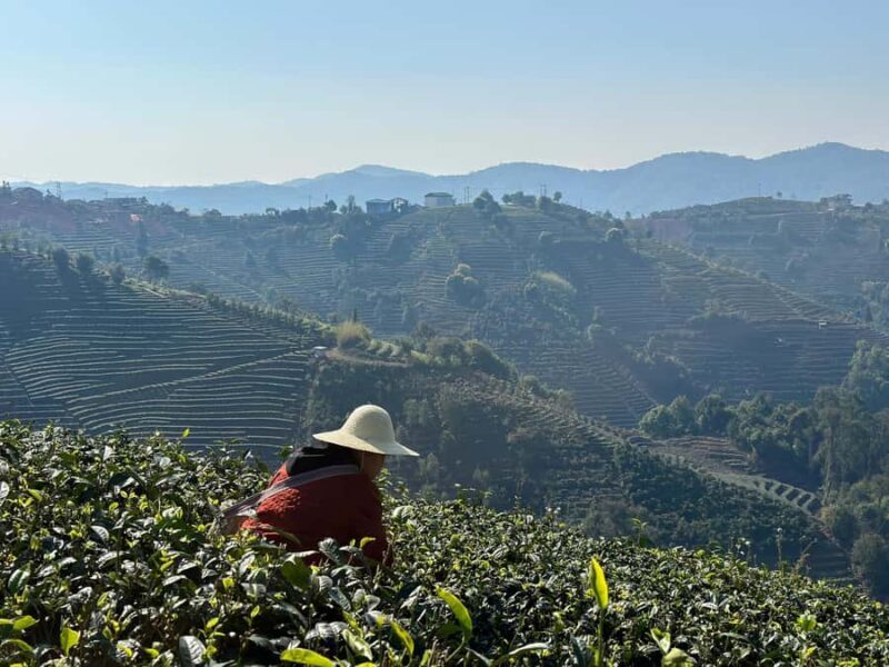 From Chengdu: Tea Garden, Bamboo Weaving & Ancient Town Tour - What this Tour Offers to Travelers