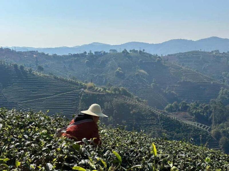 From Chengdu: Tea Garden, Bamboo Weaving & Ancient Town Tour - An Authentic Day Away from the City