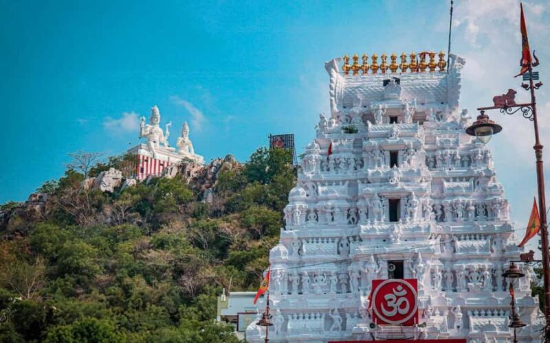 From Chennai: Full-Day Srikalahasti Temple Tour - The Sum Up