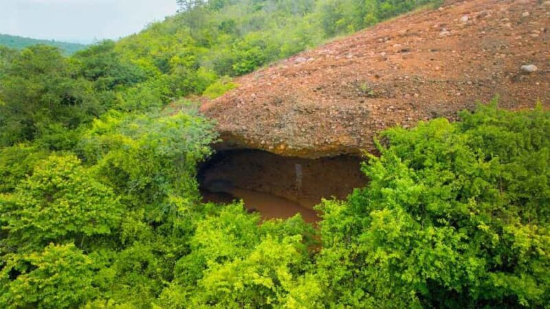 From Chennai: Gudiyam Caves Guided Trek (with Transport) - An In-Depth Look at the Gudiyam Caves Guided Trek
