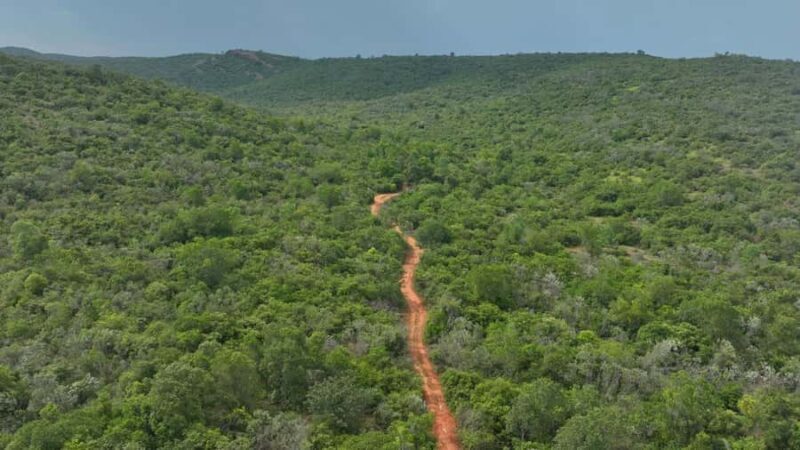 From Chennai: Gudiyam Caves Guided Trek (with Transport) - Summary
