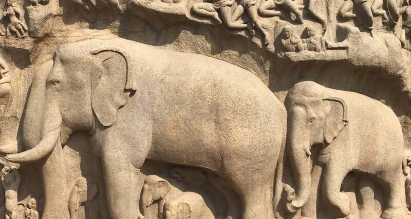 From Chennai: Private Kanchipuram and Mahabalipuram Day Tour - The Practicalities: What to Expect