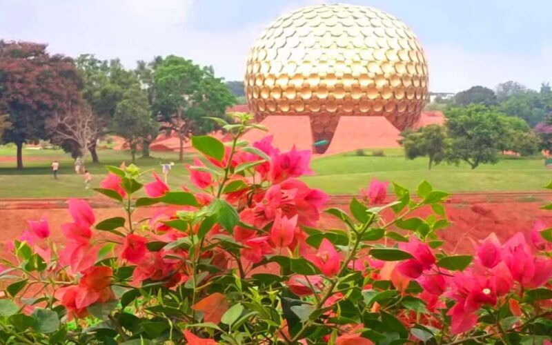 From Chennai: Private Pondicherry & Auroville Day Tour - Key Points