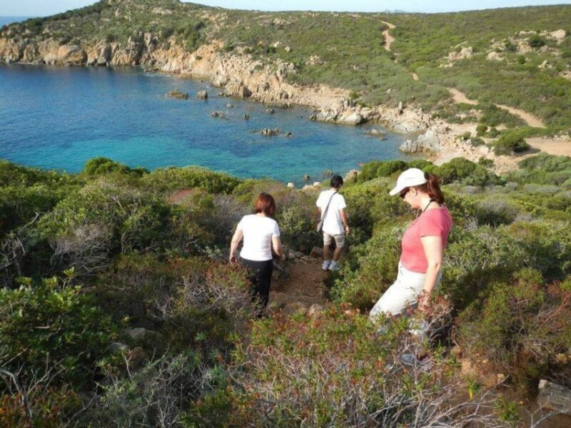 From Chia: Private Jeep Tour of Sardinia's Hidden Beaches - The Sum Up