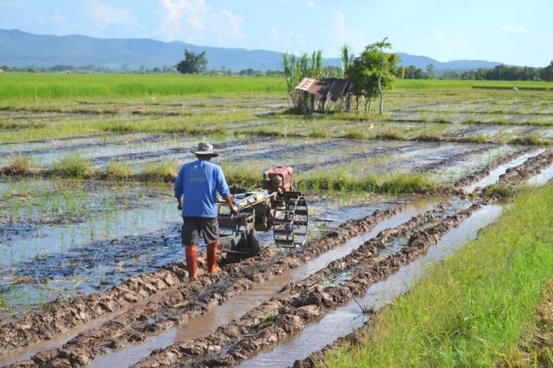 From Chiang Mai: 2 days Cycling & Kayaking tour in Mae Taeng - Authenticity and Local Flavor