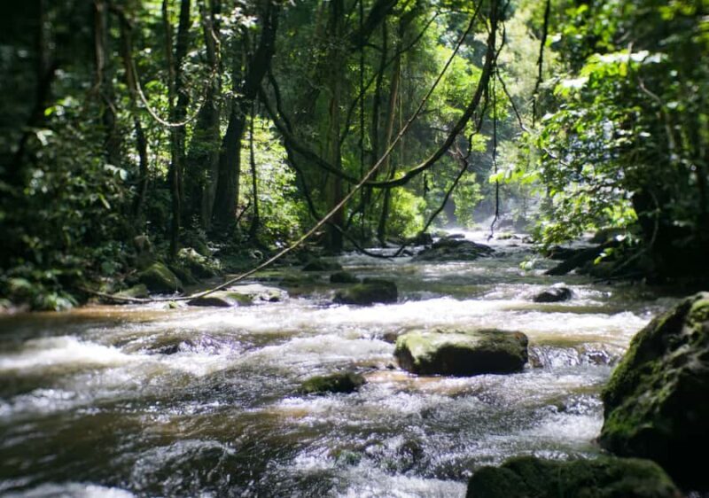 From Chiang Mai: Doi Inthanon National Park Day Trip & Hike - Return and Reflection