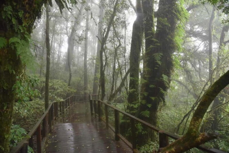 From Chiang Mai: Doi Inthanon National Park Day Trip - Exploring the Niceties: What to Expect on the Tour