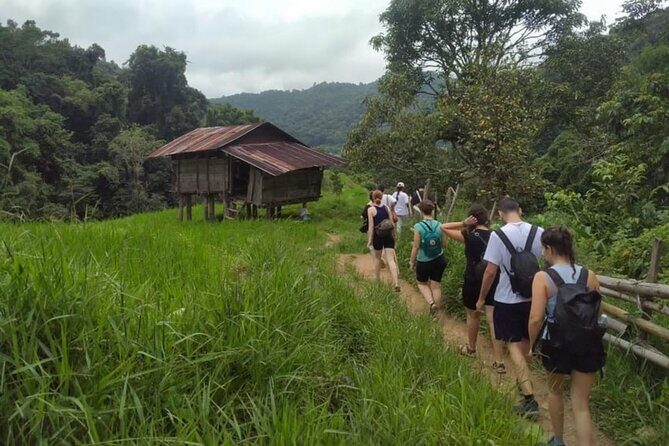 From Chiang Mai: Doi Inthanon Park & Pha Dok Siew Waterfall Hike - Final Thoughts