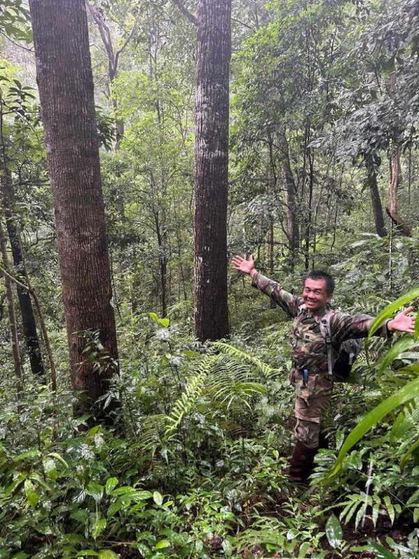 From Chiang Mai: Doi Saket Hiking Tour with Lunch - Key Points