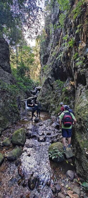 From Chiang Mai: Doi Saket Hiking Tour with Lunch - A Deep Dive into the Chiang Mai Doi Saket Hiking Experience