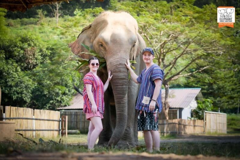From Chiang Mai: Elephant Jungle Sanctuary Tour & Lunch - Key Points