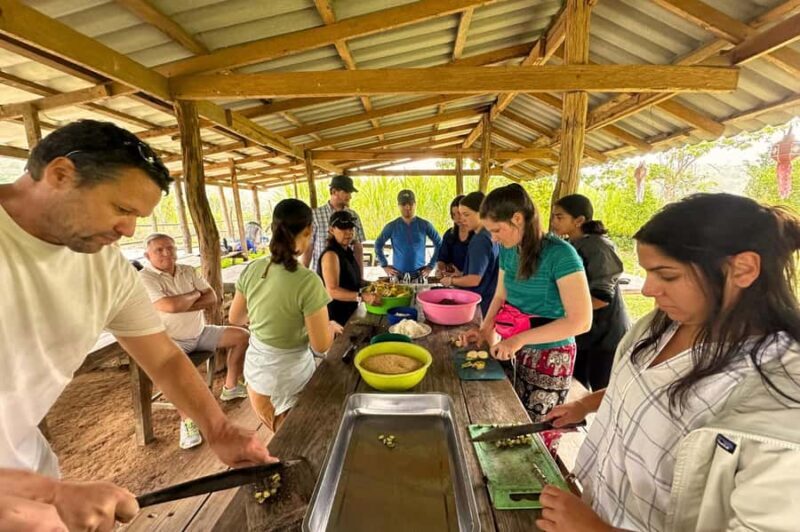 From Chiang Mai: Elephant Sanctuary & Pad Thai Workshop - An In-Depth Look at the Experience