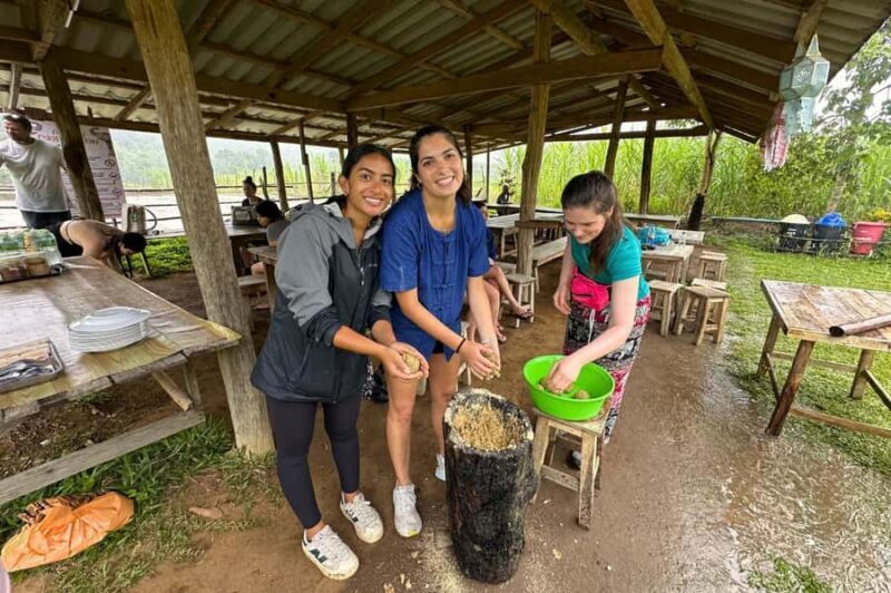 From Chiang Mai: Elephant Sanctuary & Pad Thai Workshop - Authentic Feedback from Travelers