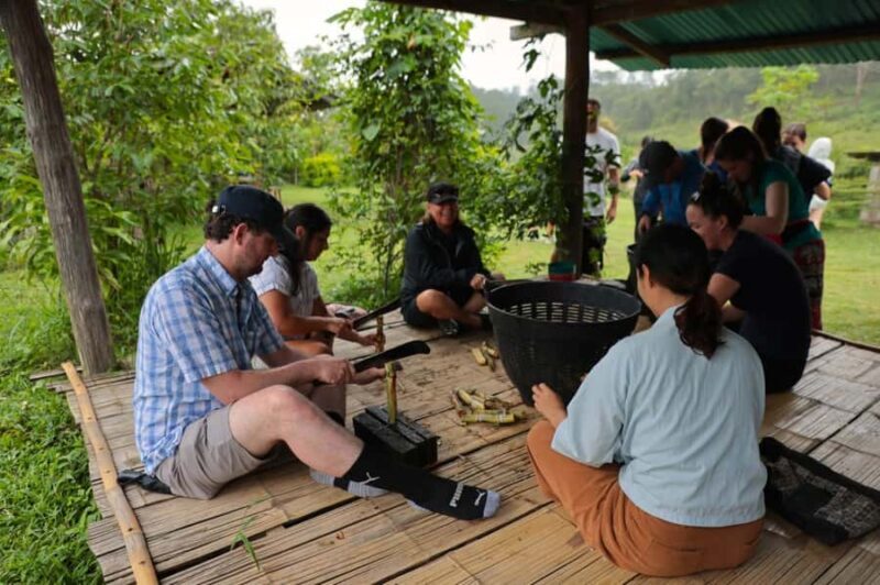 From Chiang Mai: Elephant Sanctuary & Pad Thai Workshop - Final Thoughts