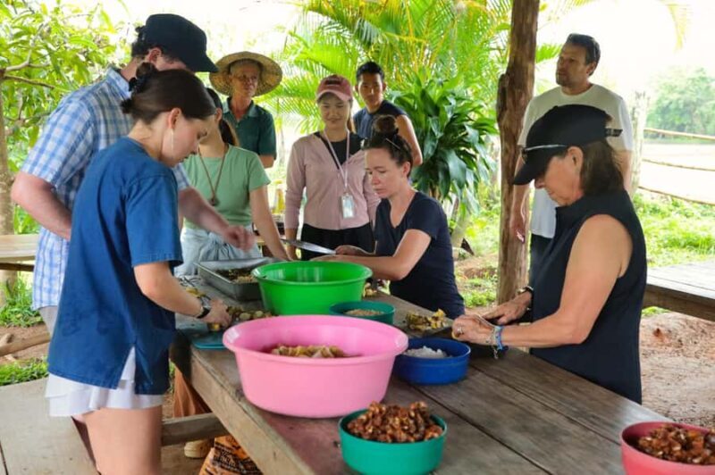 From Chiang Mai: Elephant Sanctuary & Pad Thai Workshop - Frequently Asked Questions