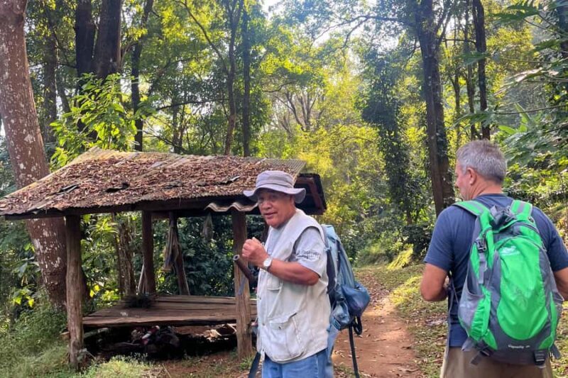 From Chiang Mai: High Mountain Day Trek - Key Points