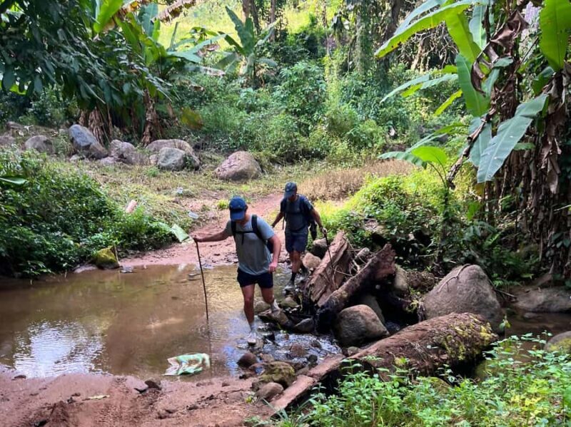 From Chiang Mai: High Mountain Day Trek - The Experience in Detail