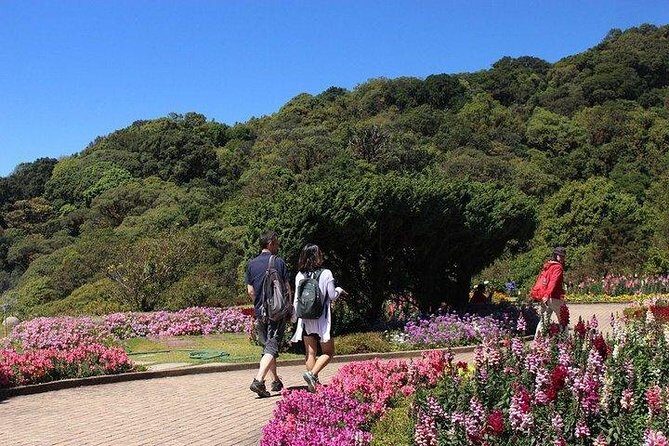 From Chiang Mai: Inthanon National Park 9-Hour Group Tour - Who Should Consider This Tour?