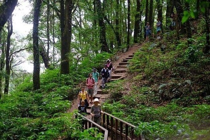From Chiang Mai: Inthanon National Park 9-Hour Group Tour - FAQ