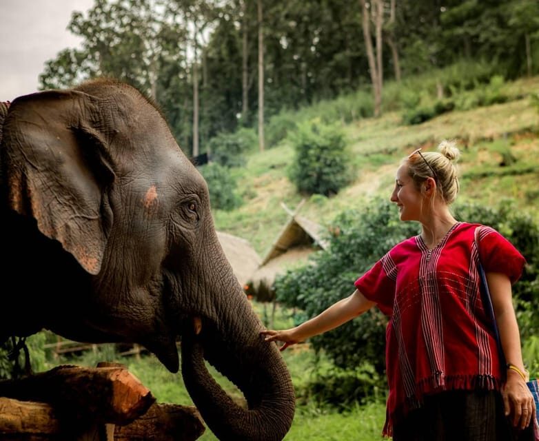 From Chiang Mai: Kerchor Eco Elephant Park Tour - Key Points